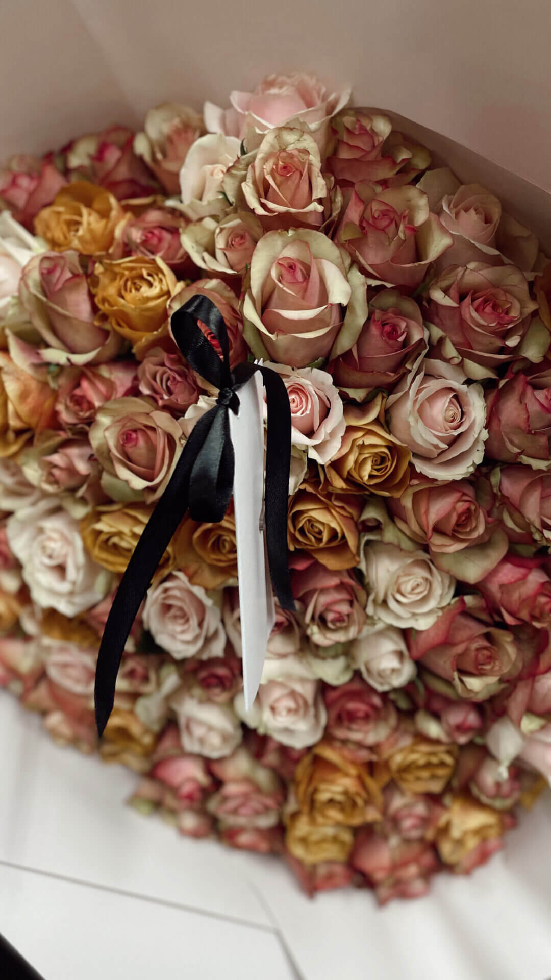 Unique vintage roses- 1 day lead time required (grown locally) - Rosa ...