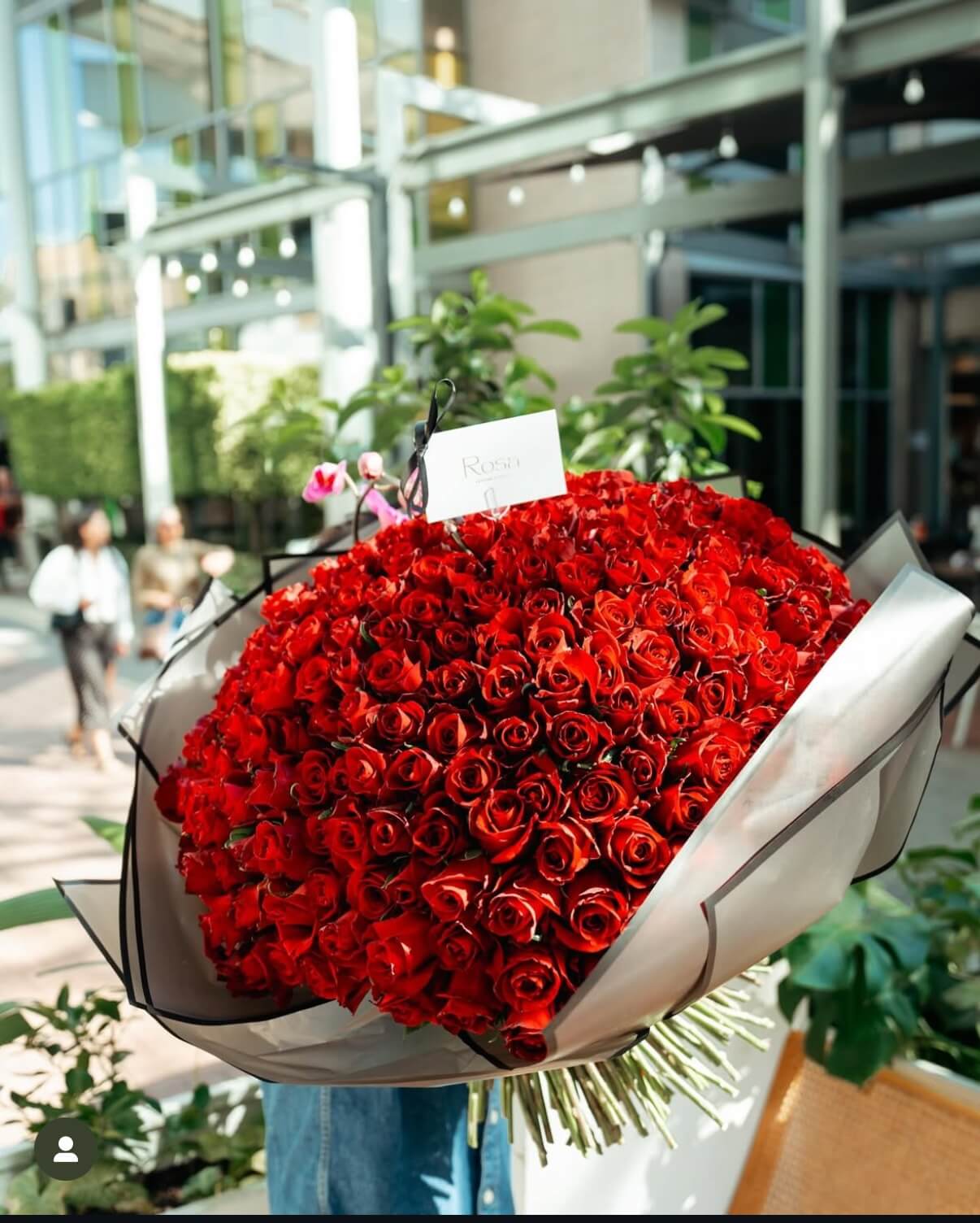 300 ever red roses - kenyan imports - Rosa Bespoke Flowers